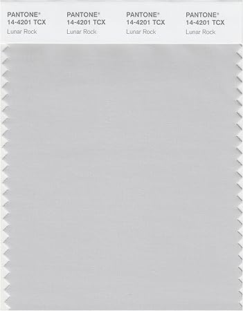 Amazon.com: PANTONE Smart 14-4201X Color Swatch Card, Lunar Rock ...