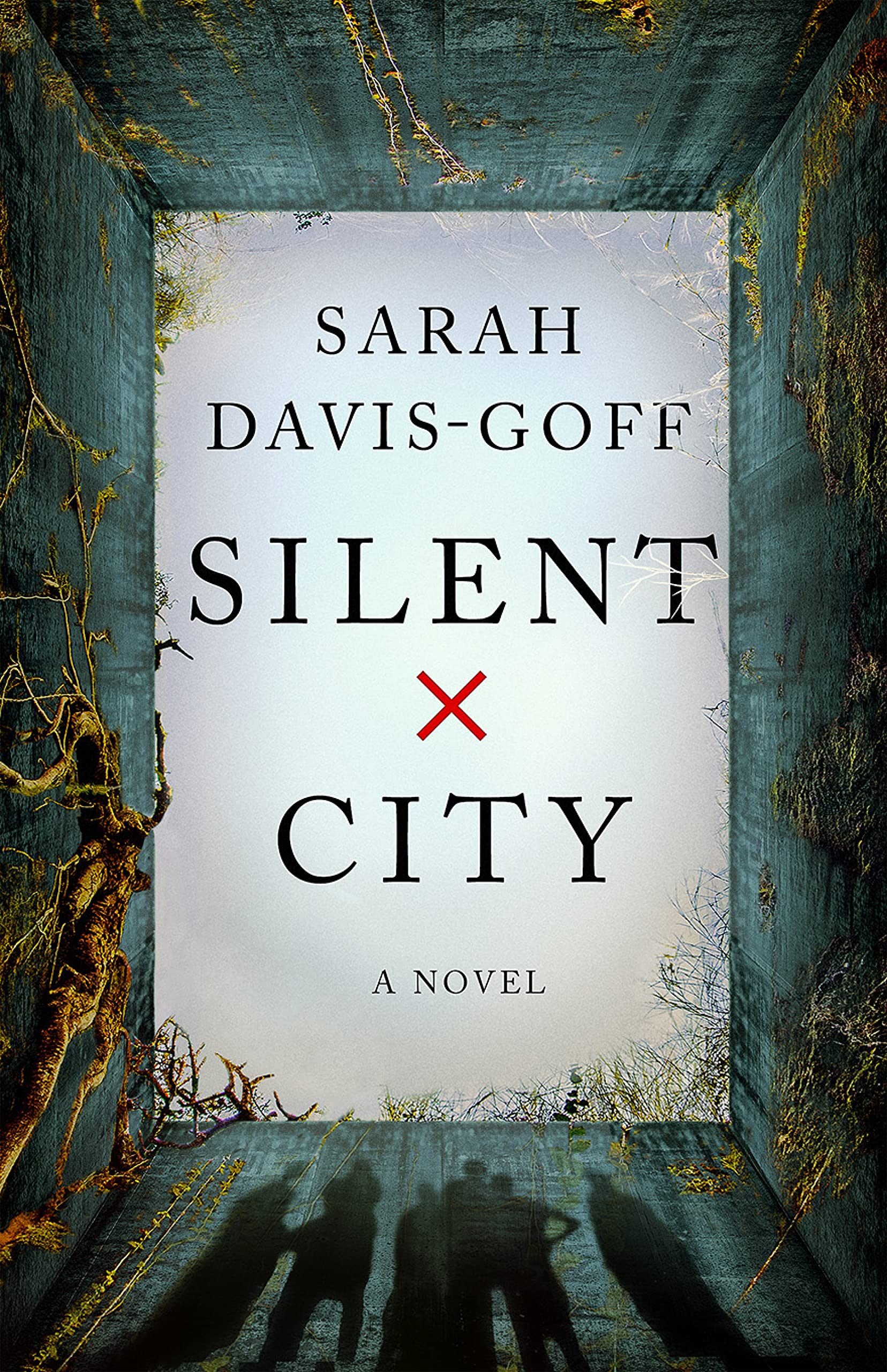 Silent City: A Novel: Davis-Goff, Sarah: 9781250262622: Amazon.com: Books