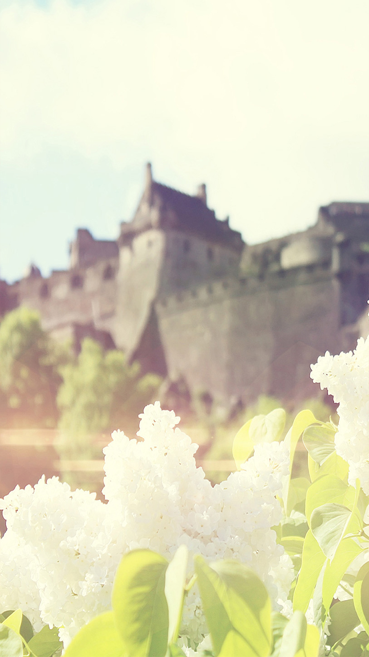 Wallpapers+ For Your Amazon Device:Amazon.de:Appstore for Android