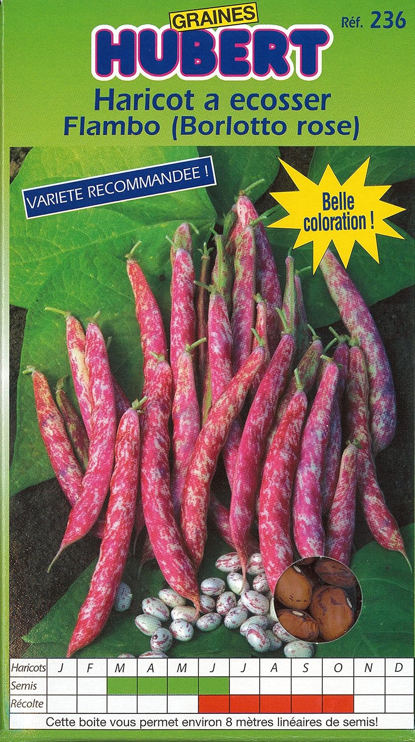 Graines de Haricot à écosser Flambo (Borlotto rose) - 150 grammes ...