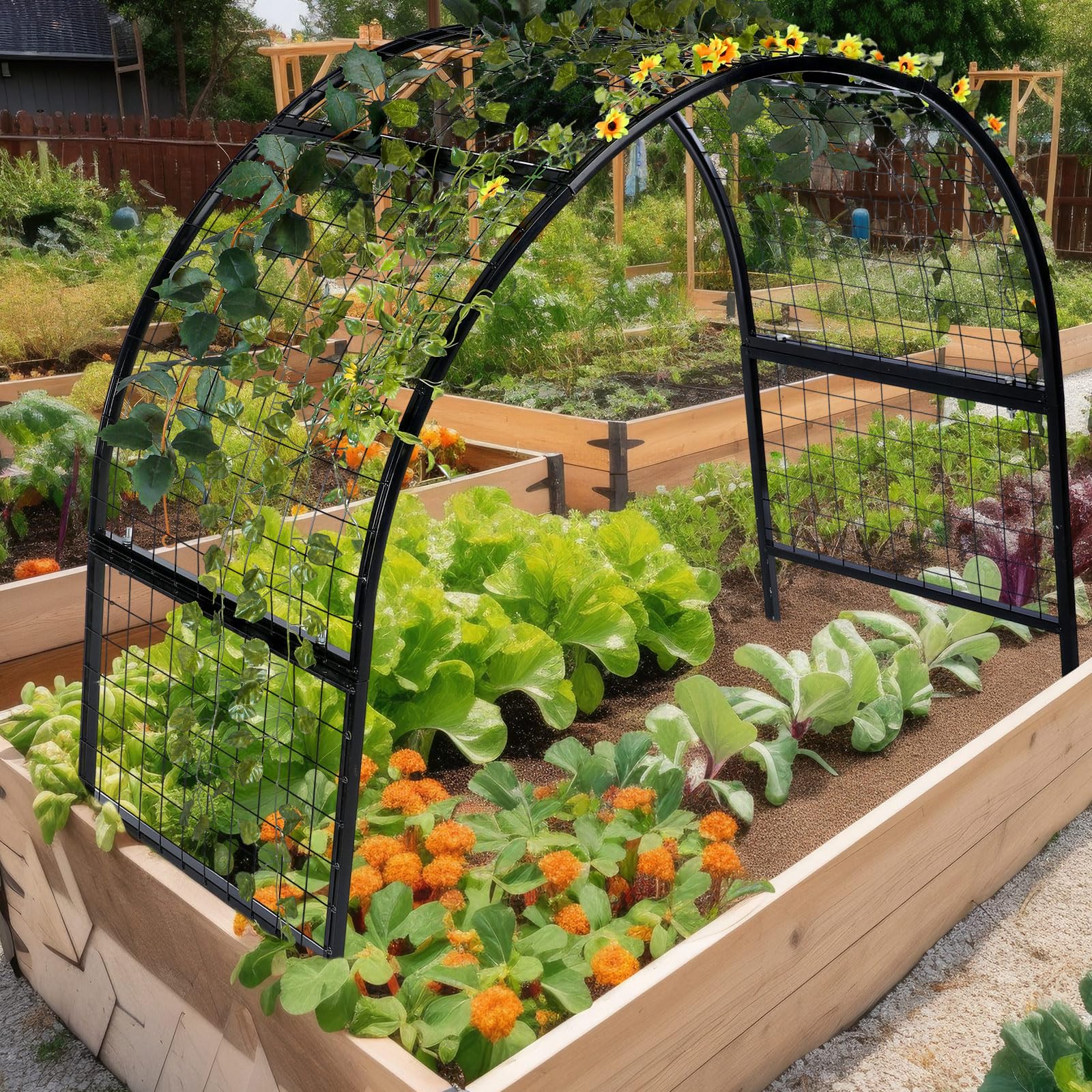 Arch Trellis for Planter Box Garden Wide Arbor Trellis Metal Arbor for ...