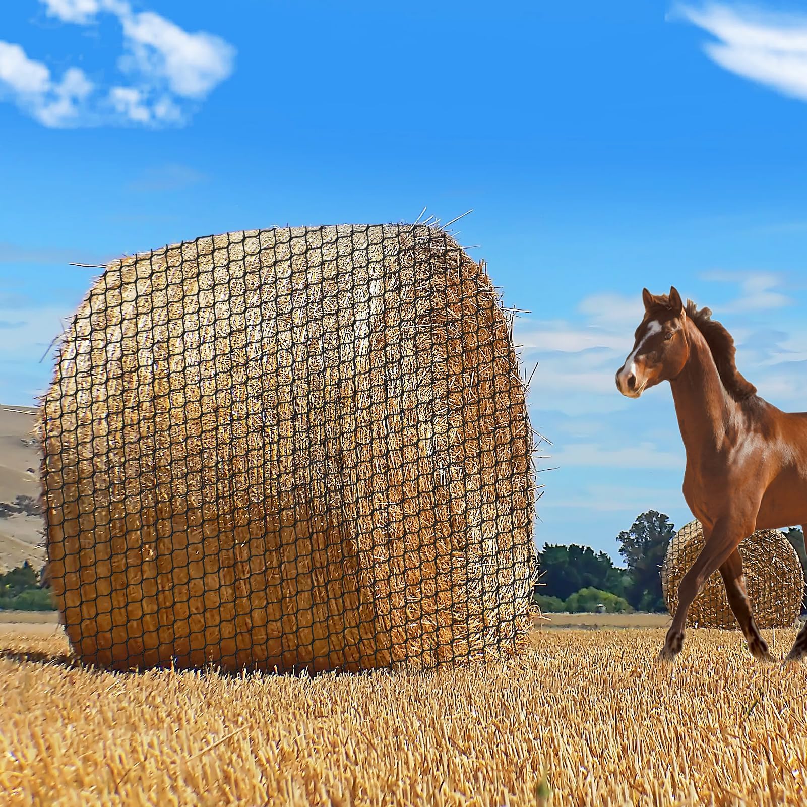 Amazon.com: Tongmo 5x5 ft Round Bale Hay Net for Horses & Livestock ...
