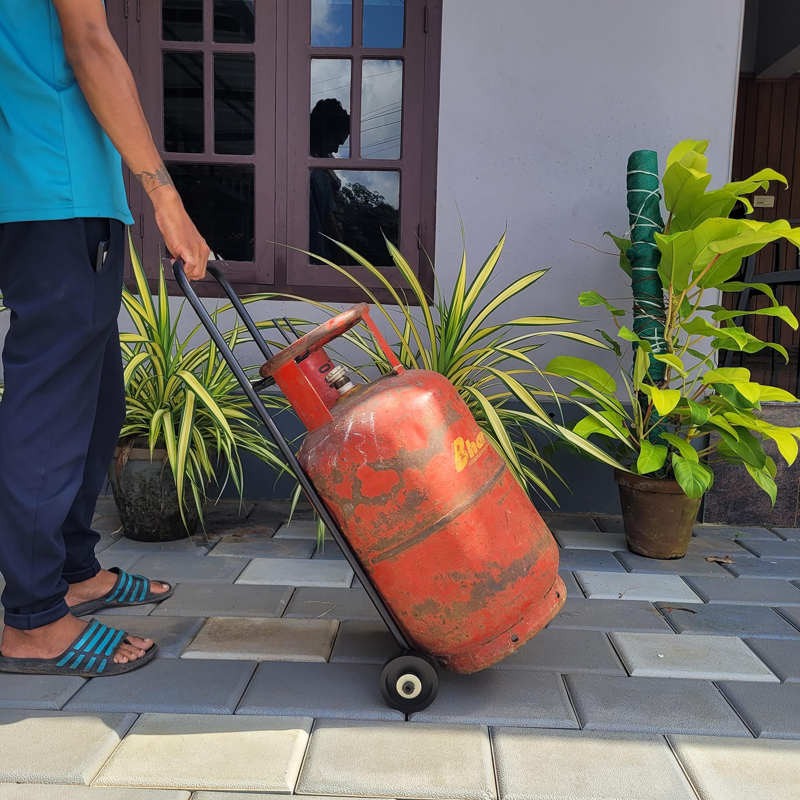 Priya Stainless Steel Gas Cylinder Trolley with Wheels | Gas Trolly ...