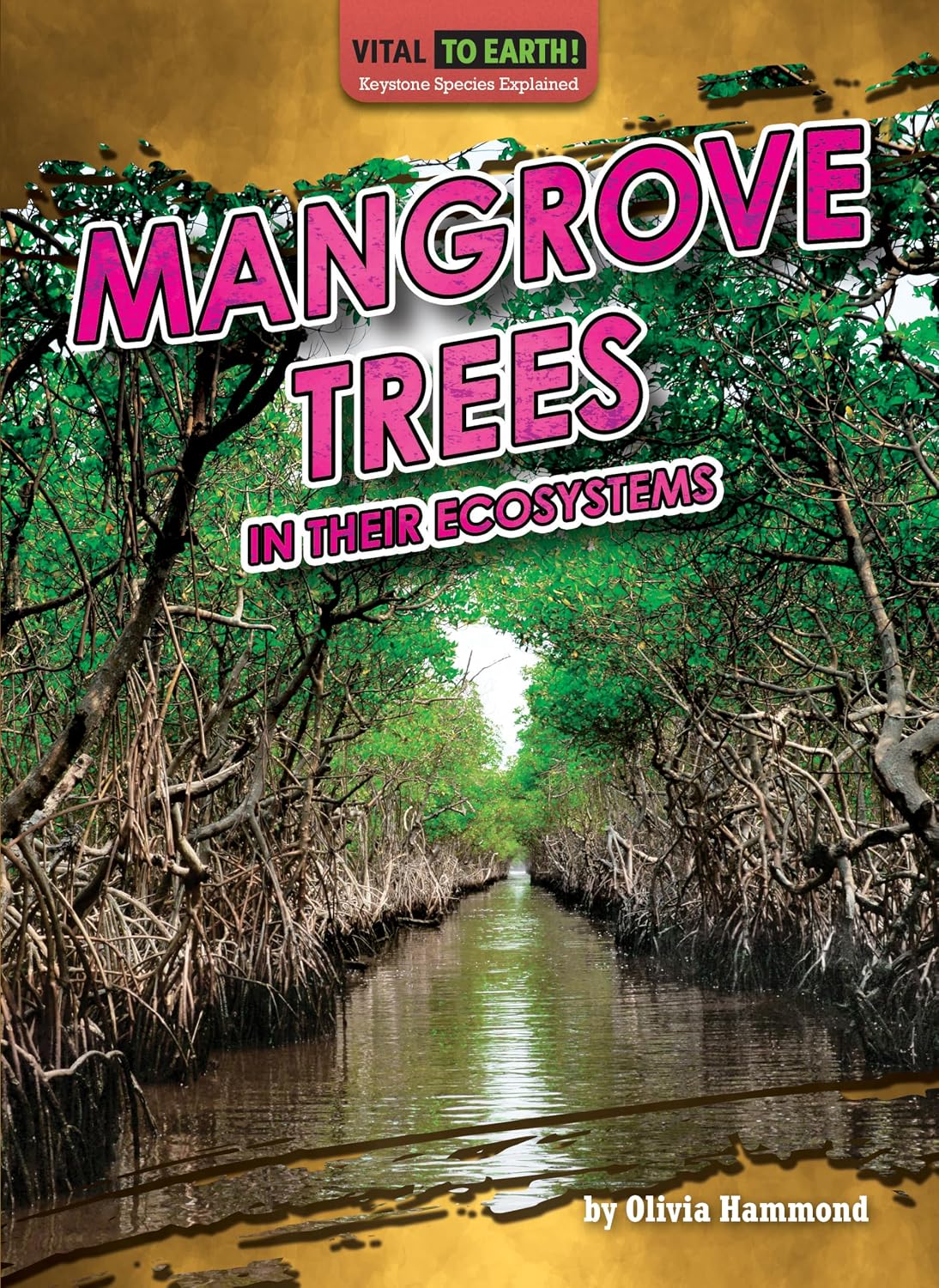 Mangrove Trees in Their Ecosystems (Vital to Earth! Keystone Species ...