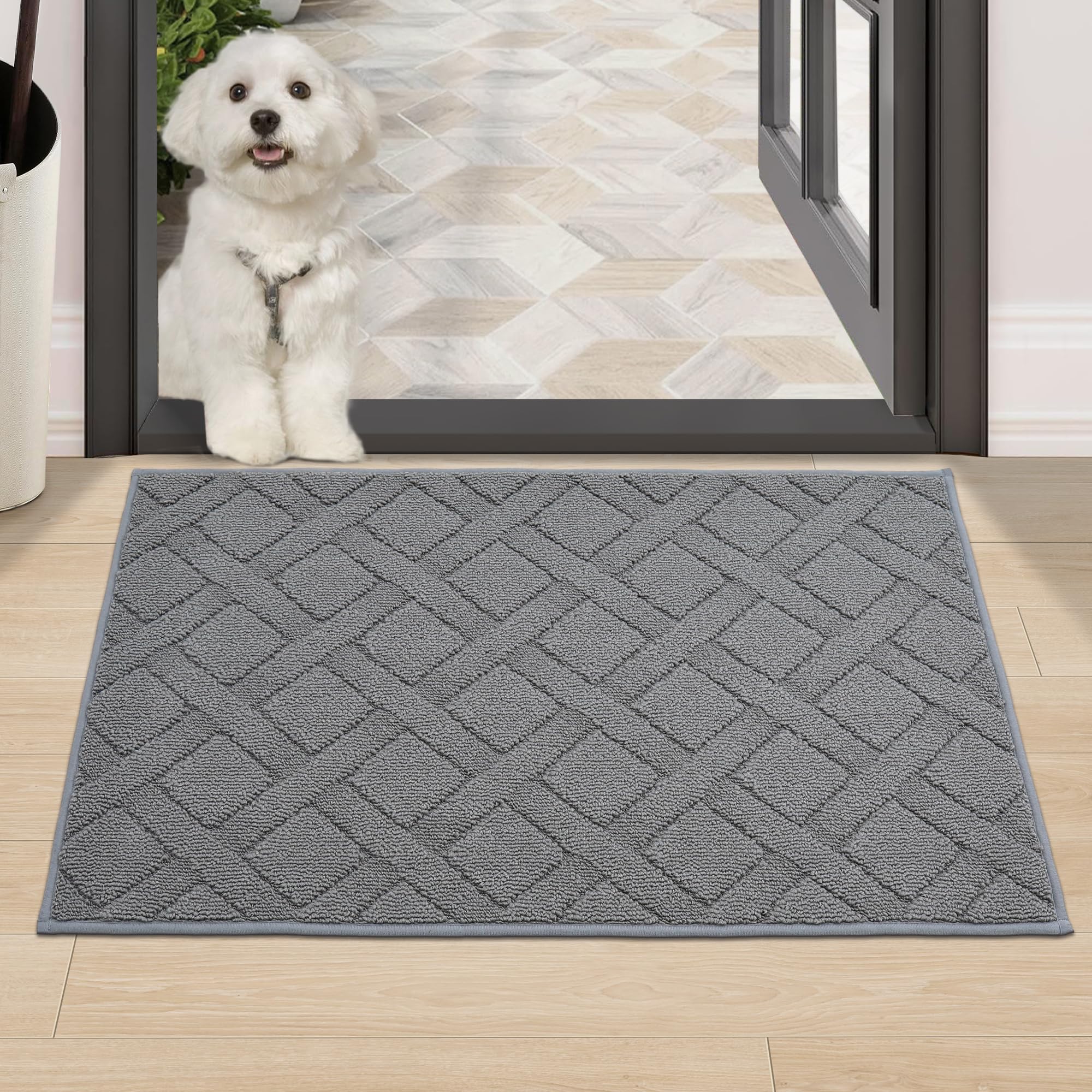 Amazon.com: COSY HOMEER Dog Door Mat for Muddy Paws, Absorbs Moisture ...