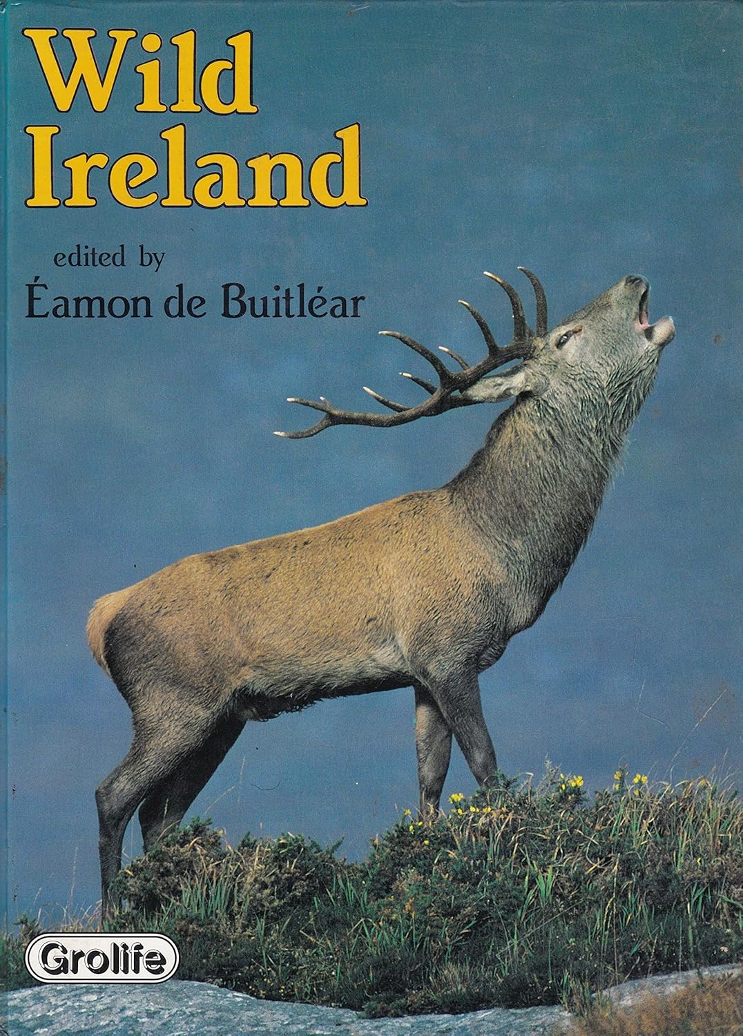 Wild Ireland: Eamon Buitlear: 9780094172036: Amazon.com: Books
