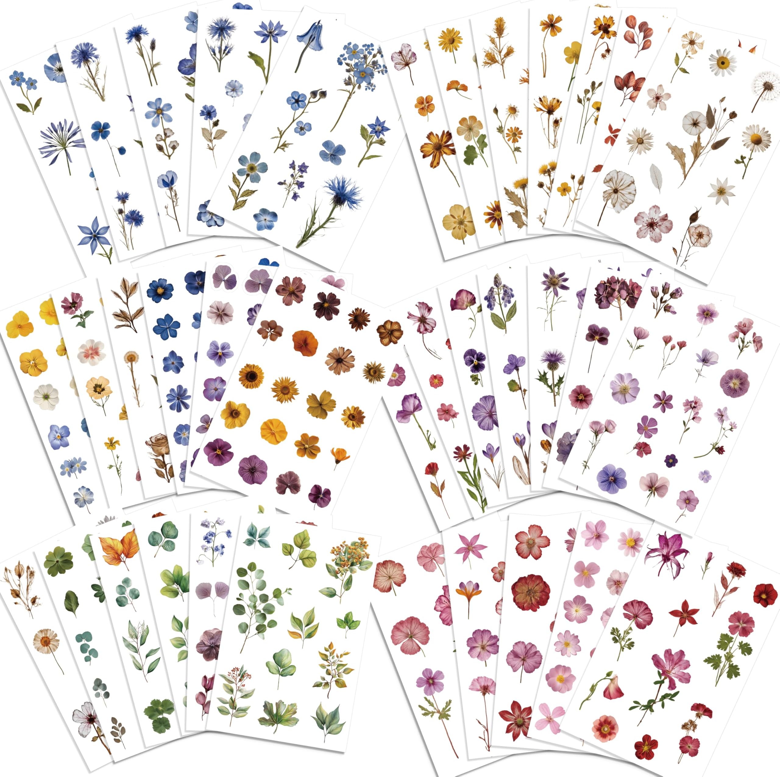 Amazon.com: XINGUANG Assorted Flower Stickers - 36 Sheets, Multicolor ...