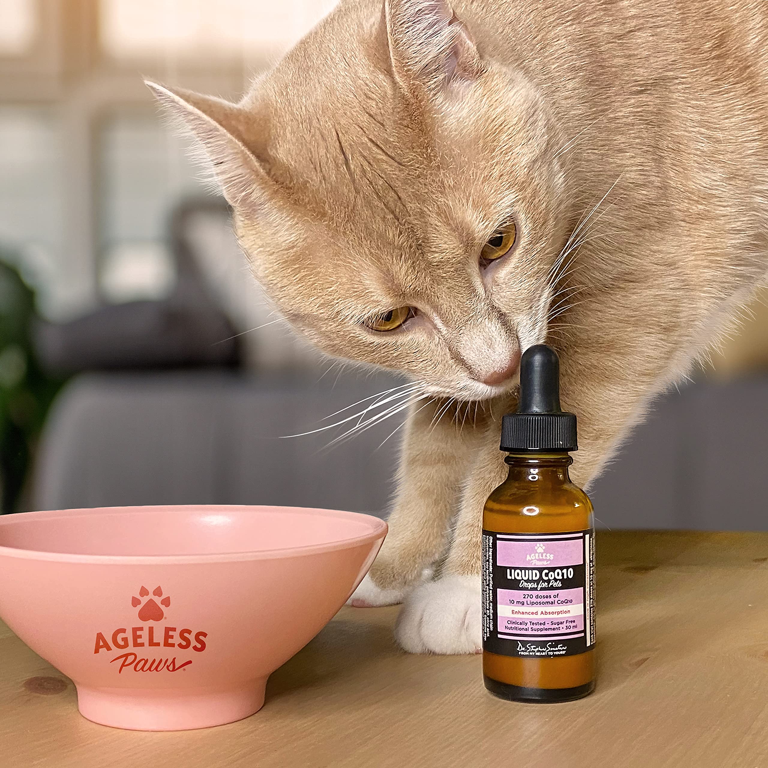 6-Pack Liquid CoQ10 For Dogs And Cats Sinatra's Ageless Paws | atelier ...