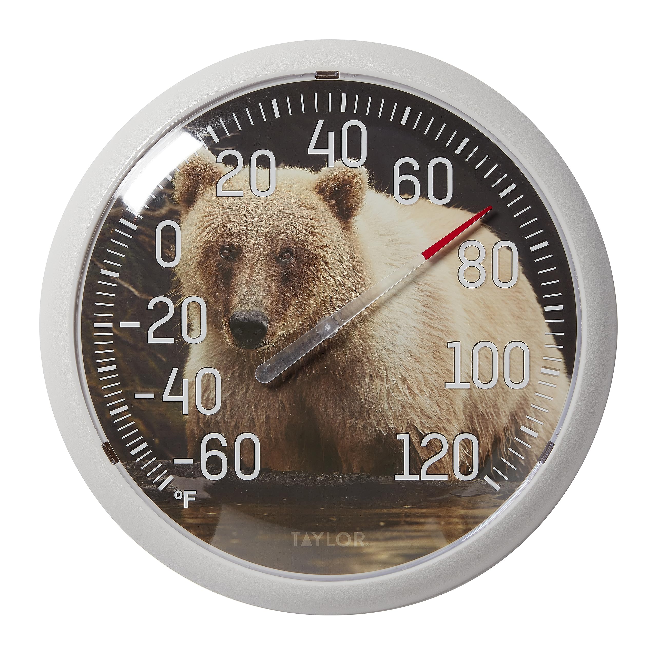 Amazon.com: Taylor Nature Series Bear Indoor Outdoor Dial Thermometer ...