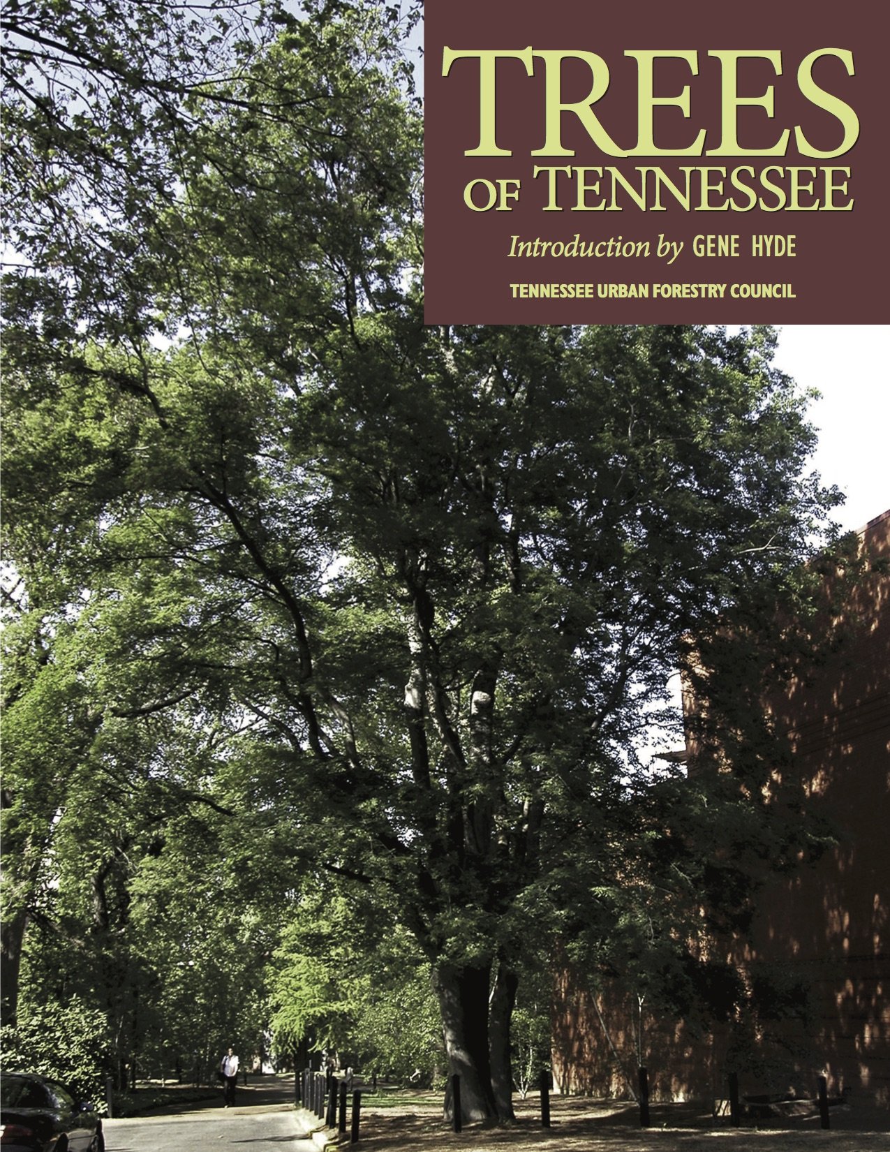 Trees of Tennessee: Tennessee Urban Forestry Council: 9781936541294 ...