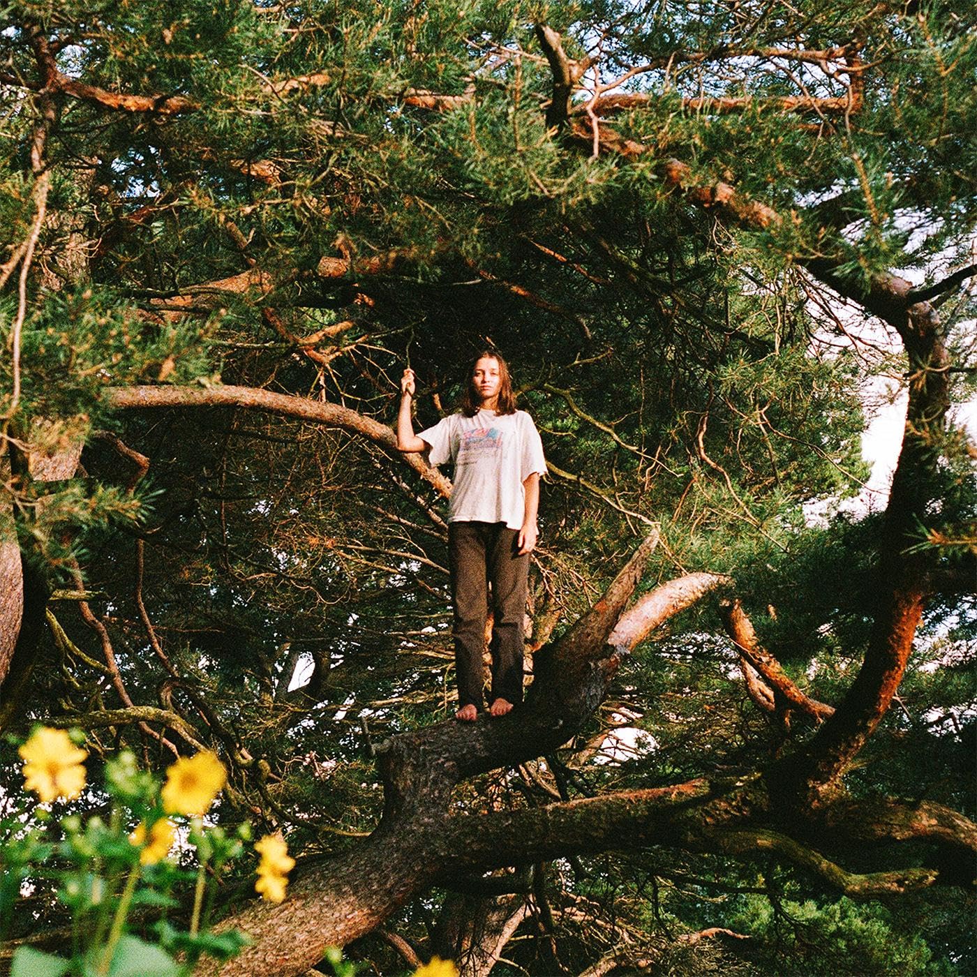 Amazon.com: Melt The Honey: CDs & Vinyl