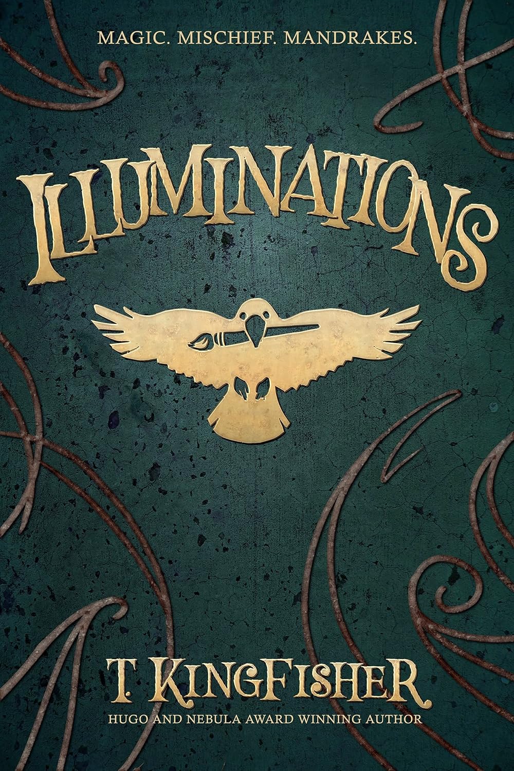 Illuminations - Kindle edition by Kingfisher, T.. Children Kindle eBooks @ Amazon.com.