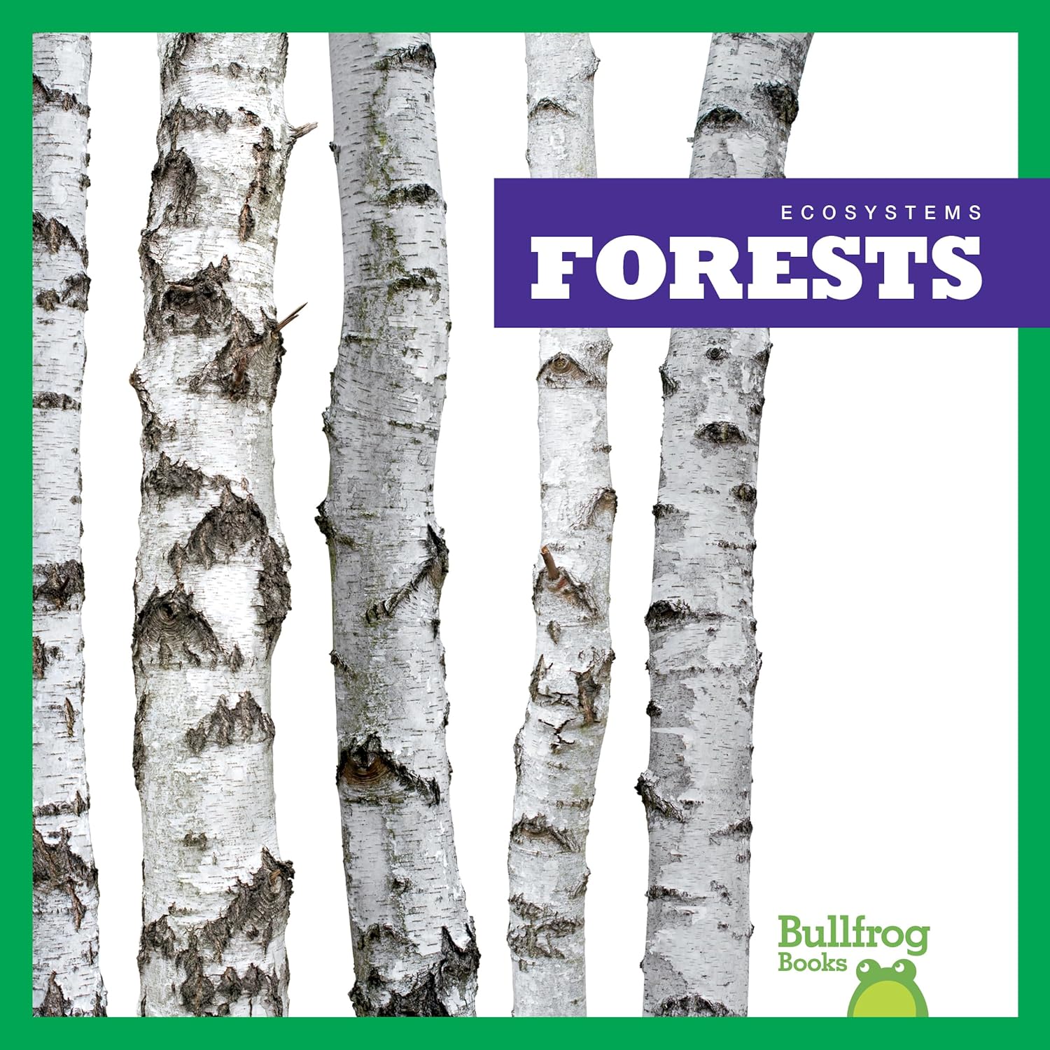 Forests (Bullfrog Books: Ecosystems): Nadia Higgins: 9781620316788 ...