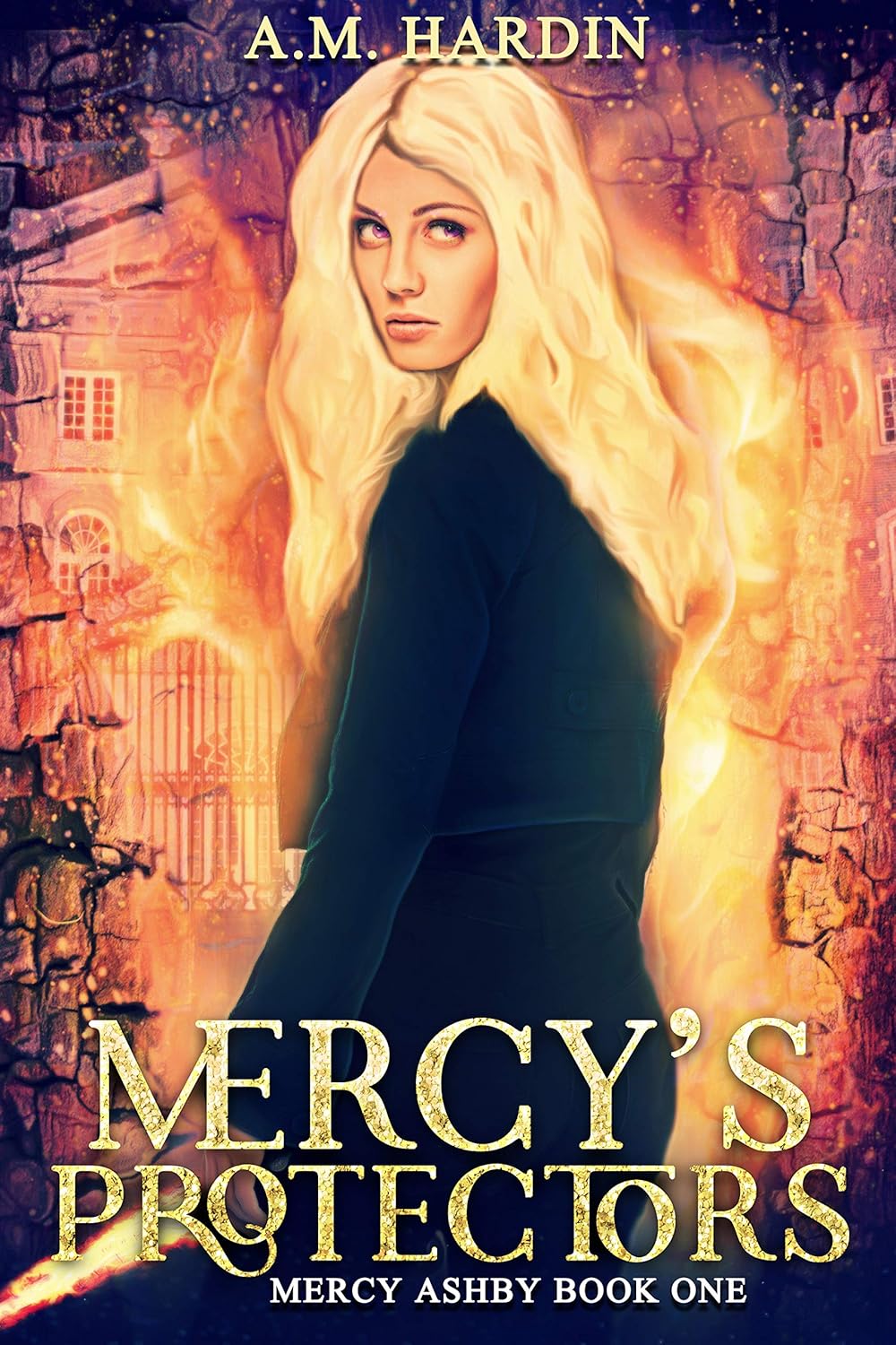 Mercy's Protectors (Mercy Ashby Book 1) eBook : Hardin, A.M.: Amazon.ca ...