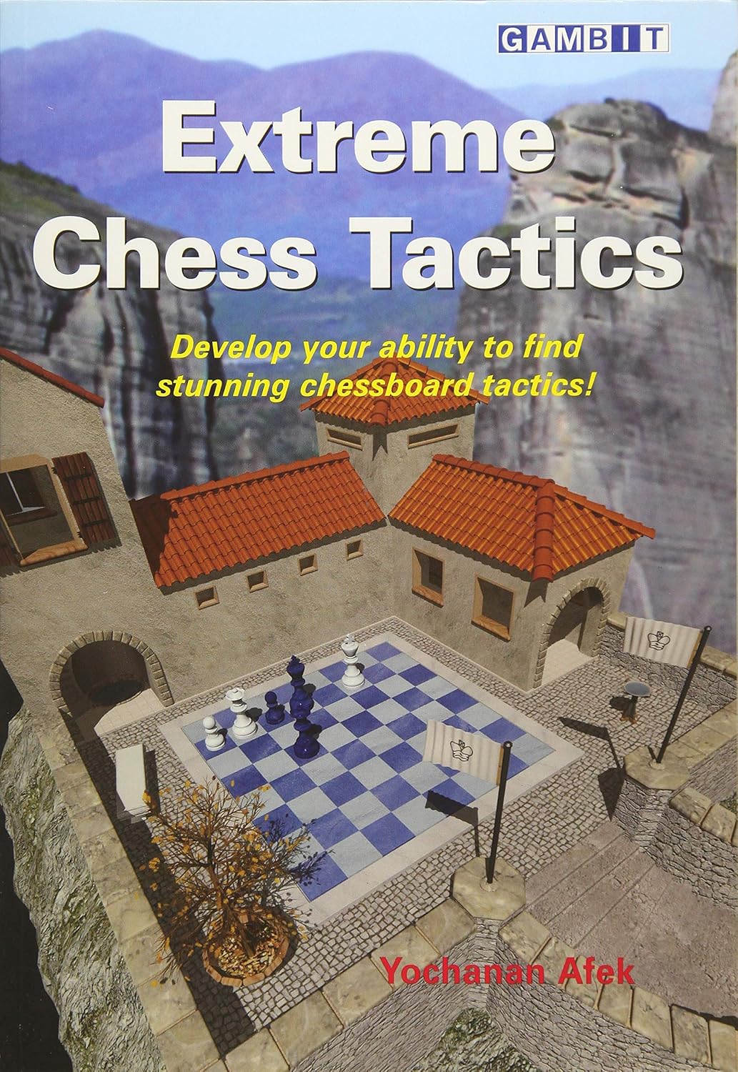 Extreme Chess Tactics: Afek, Yochanan: 9781911465126: Amazon.com: Books