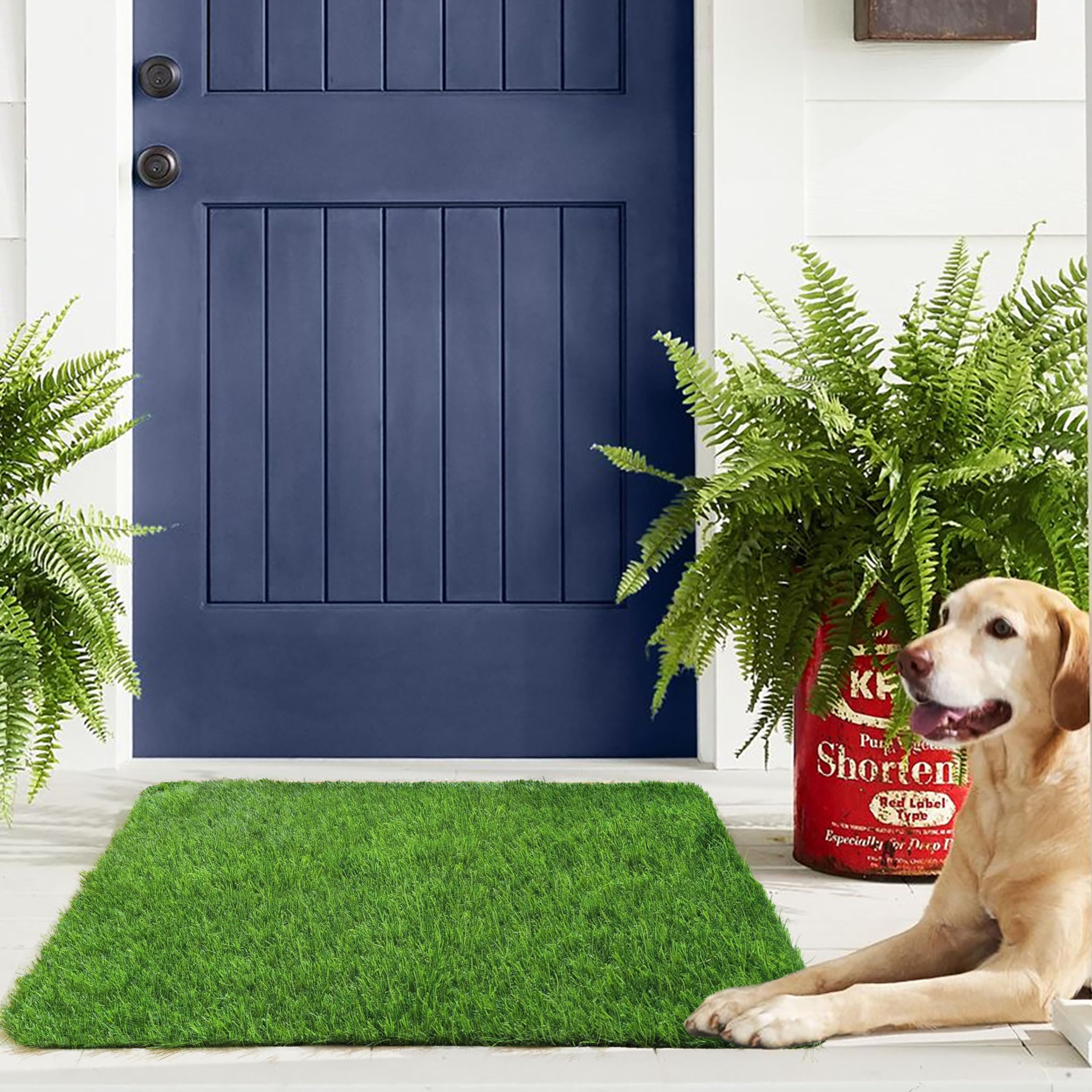 Amazon.com: ZHIYUNMATFC 30×18 Artificial Grass Non-Slip Door Mat,Truf ...