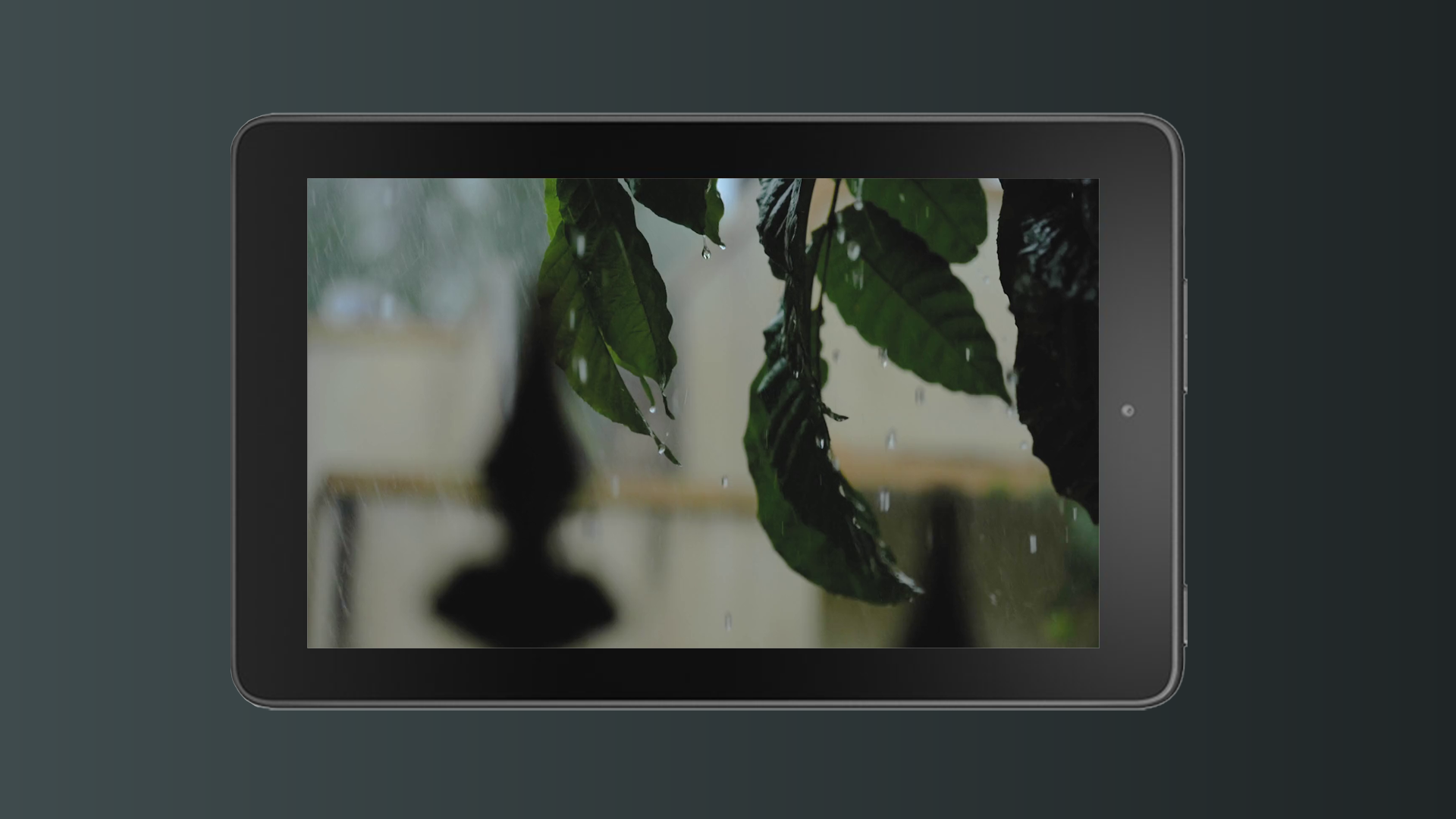 Rainforest Rainfall for Fire TV - App on Amazon Appstore