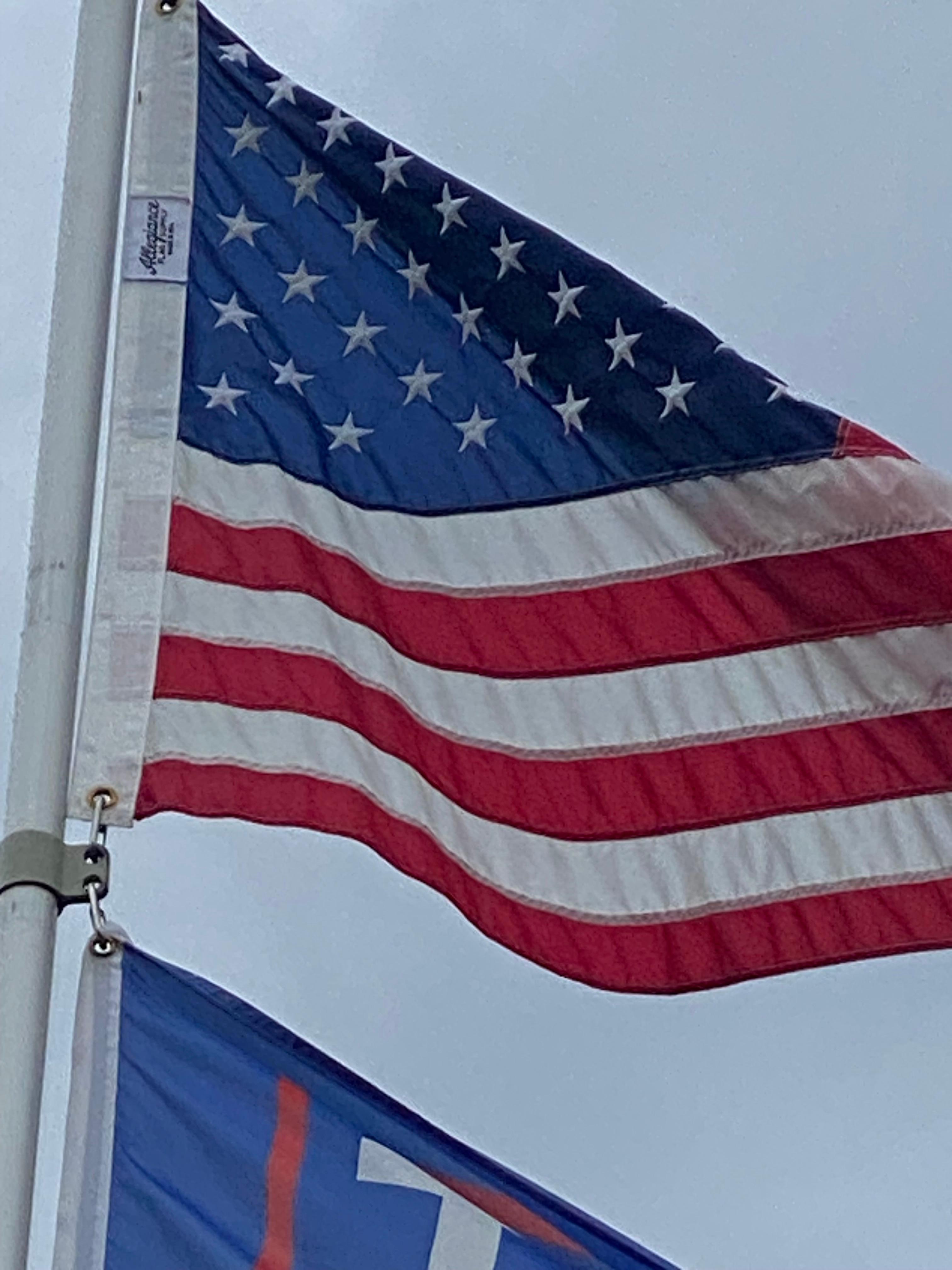 Watch HONEST REVIEW- Allegiance Flag Supply 3' x 5' American Flag on ...