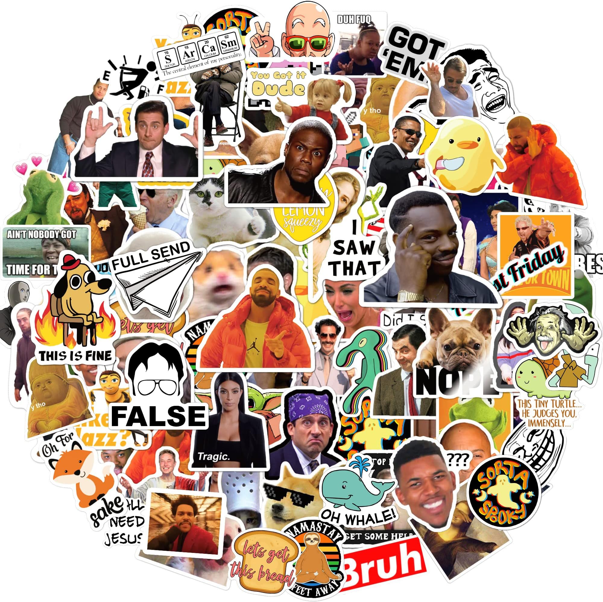 Amazon.com: 220PCS Funny Meme Sticker Pack, Vinyl Waterproof Stickers ...