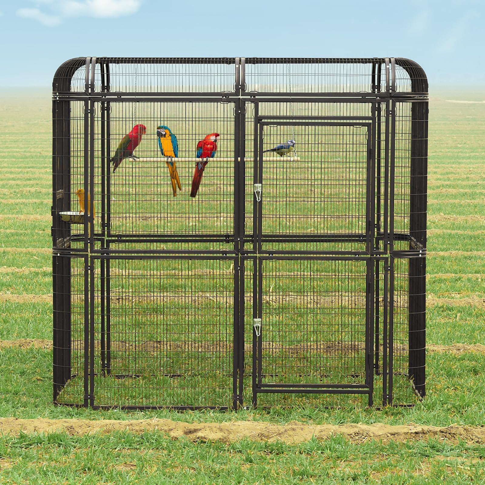 Amazon.com : A&E Cage Co 62" by 62" Walkin Aviary, Black : Birdcages ...