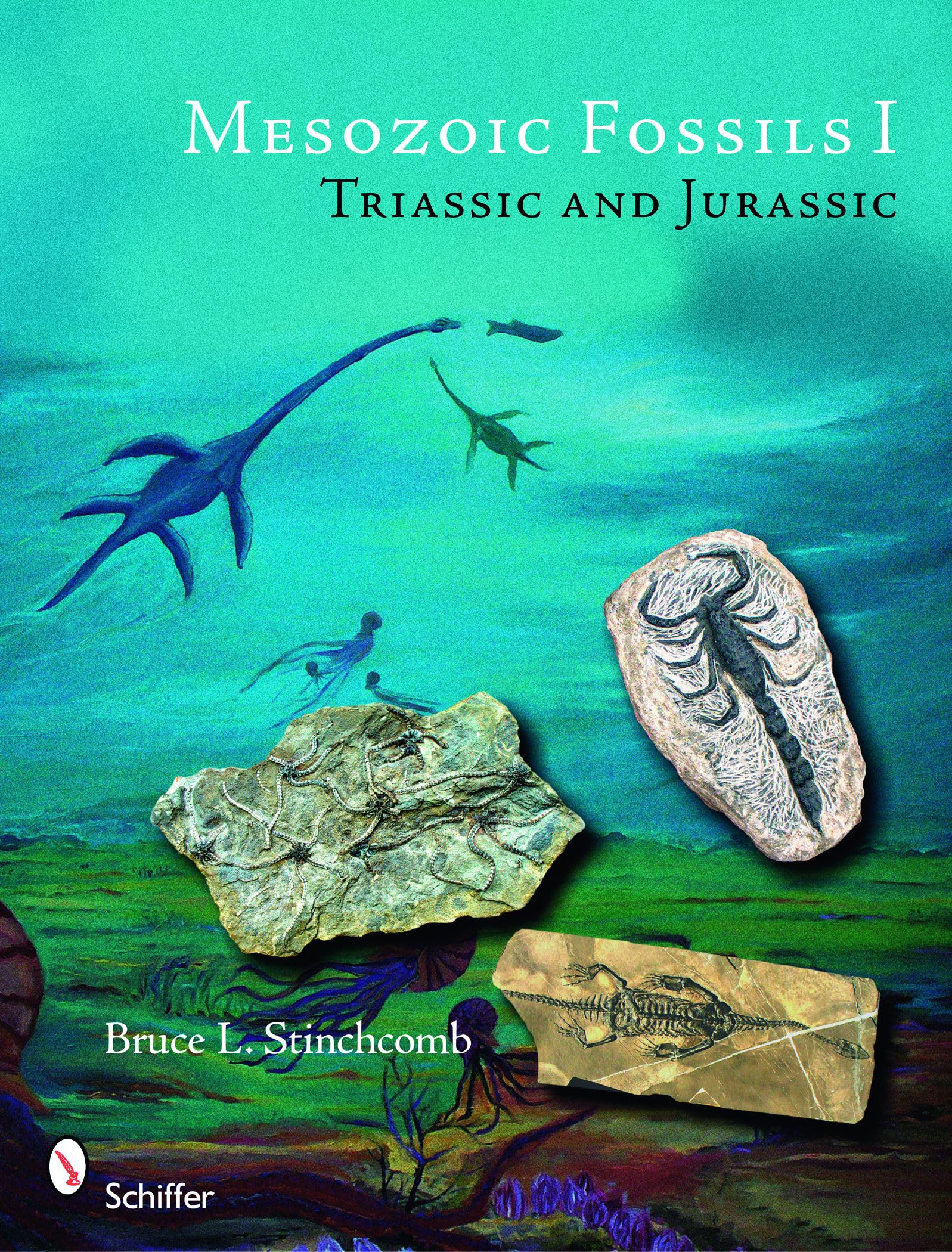 Mesozoic Fossils: Triassic and Jurassic: Stinchcomb, Bruce L ...