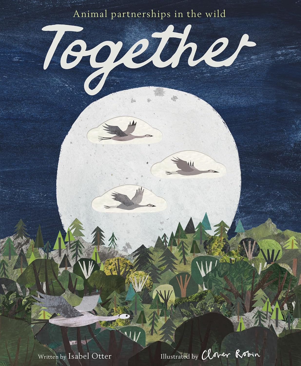 Together: Animal partnerships in the wild: Otter, Isabel, Robin, Clover ...