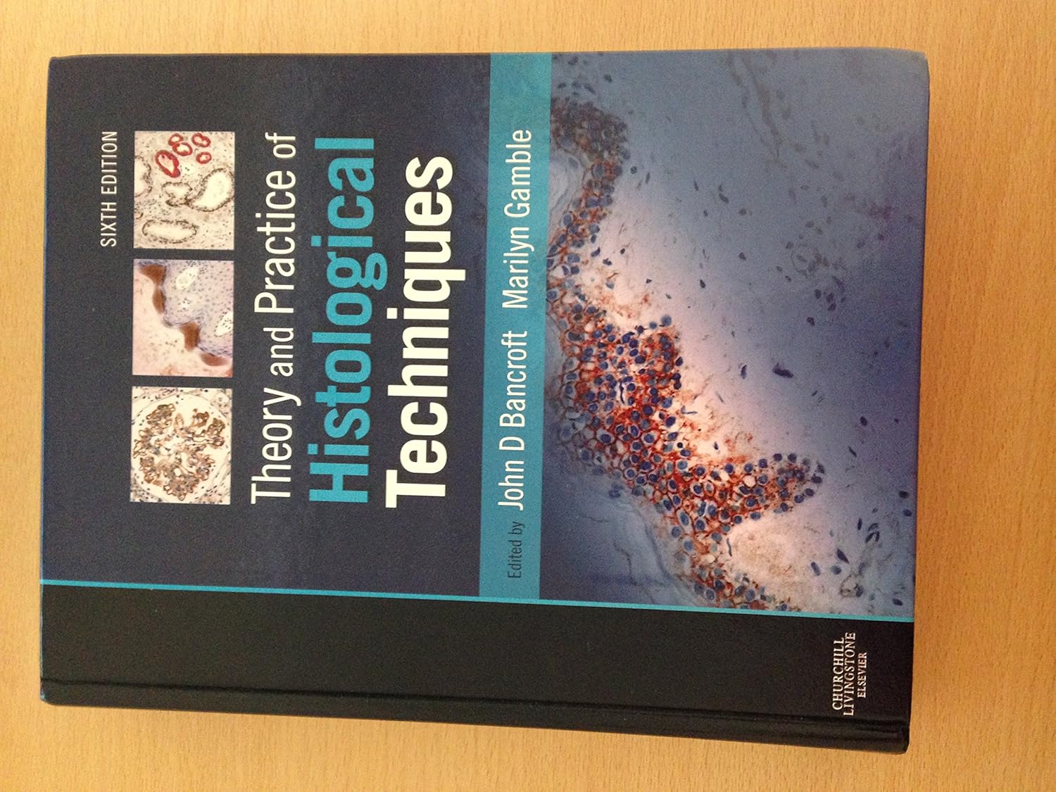 Theory and Practice of Histological Techniques: 9780443102790: Medicine ...