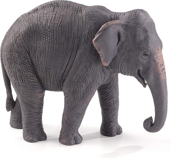 Amazon.com: MOJO Asian Elephant Realistic International Wildlife Toy ...