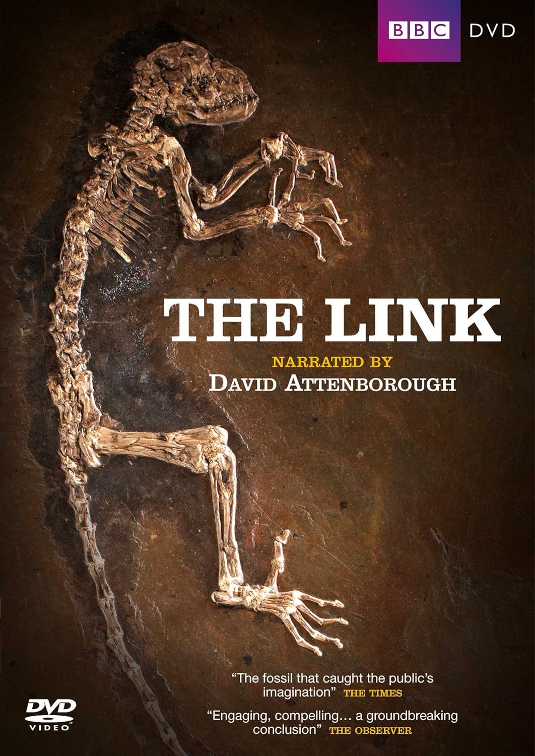 David Attenborough - The Link [DVD]: Amazon.co.uk: David Attenborough