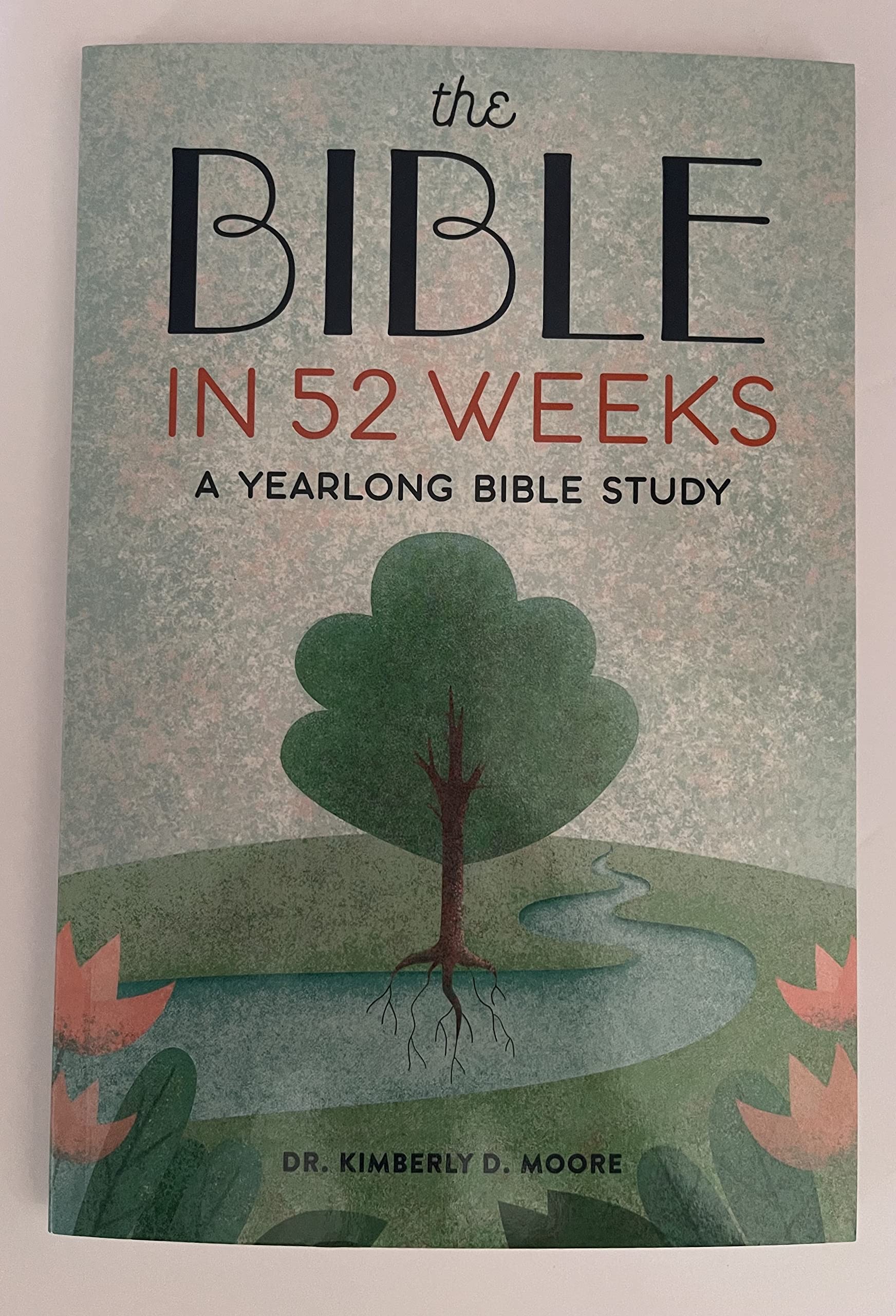 The Bible in 52 Weeks A Yearlong Bible Study: DMin Dr. Kimberly D ...