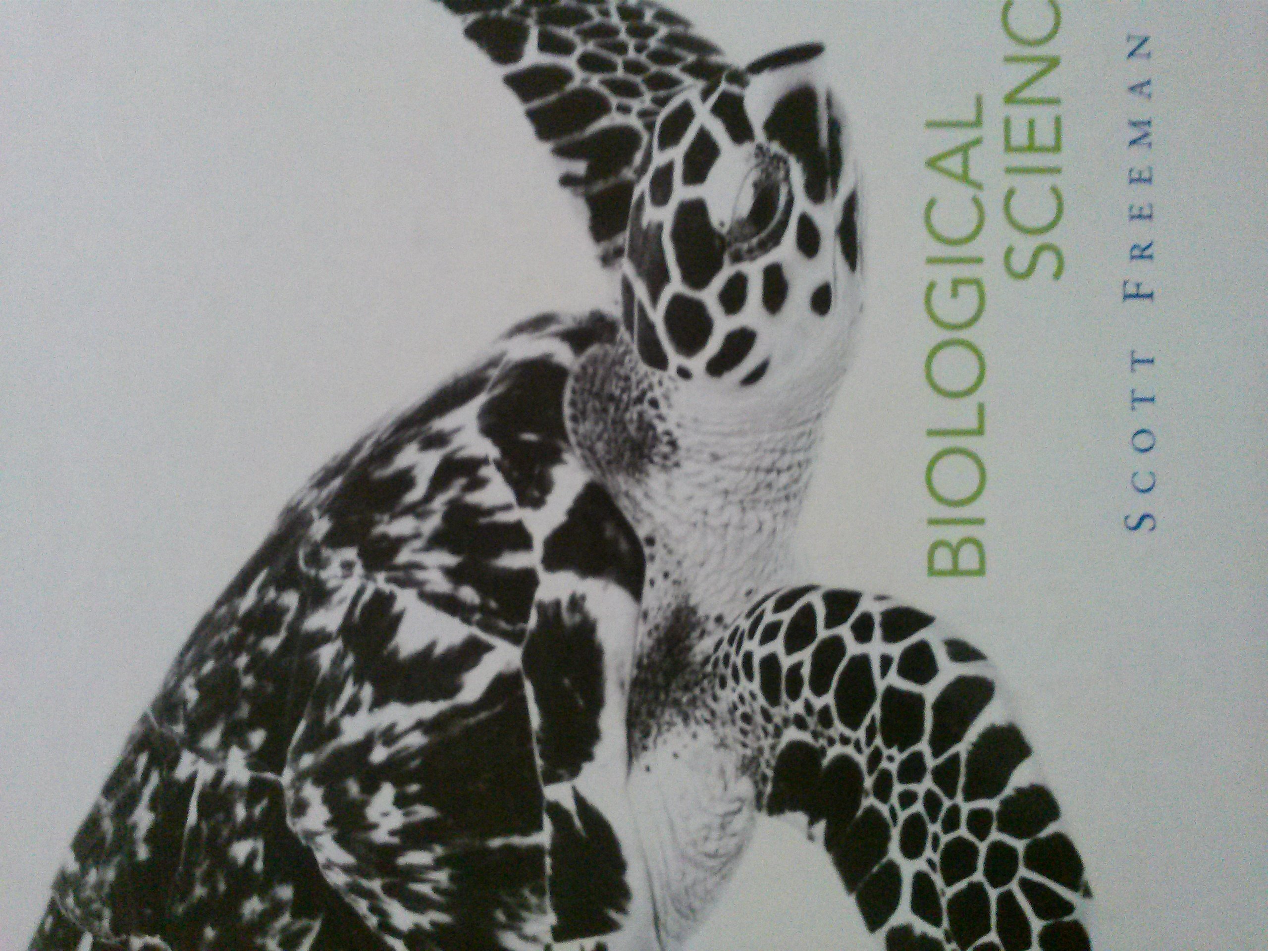 Biological Science: Amazon.co.uk: Freeman, Scott: 9780130819239: Books