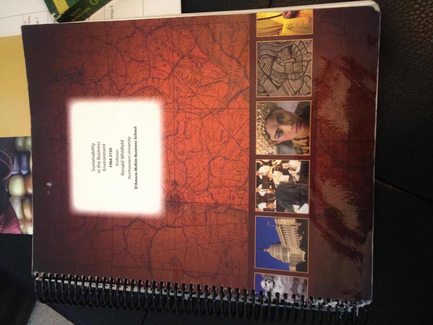 Sustainability in the Business Environment: Ronald Whitfield ...