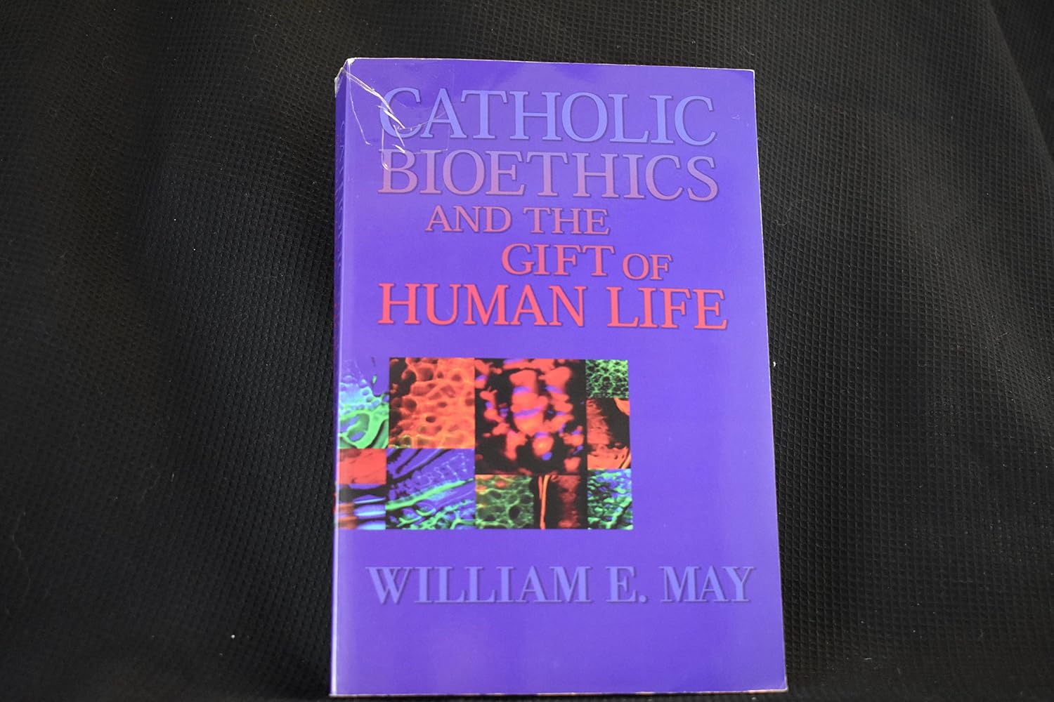 Catholic Bioethics and the Gift of Human Life: Celebrating the Beauty ...