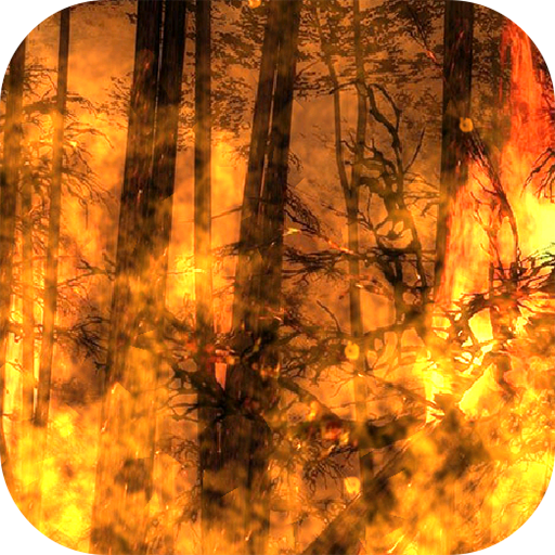 Fire Flames Live Wallpaper Fireplace, Fire, Flames