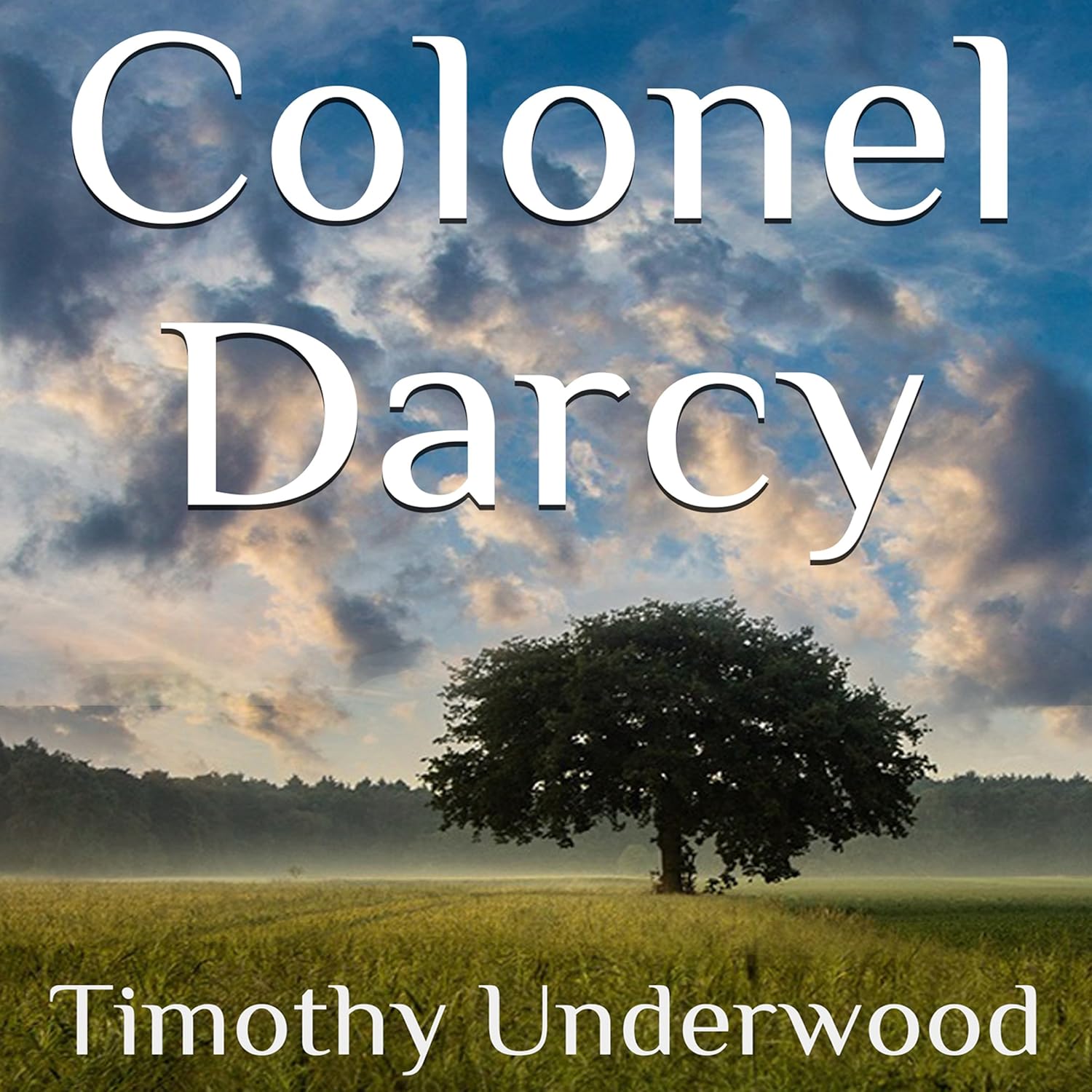 Amazon.com: Colonel Darcy: An Elizabeth and Darcy Story (Audible Audio ...