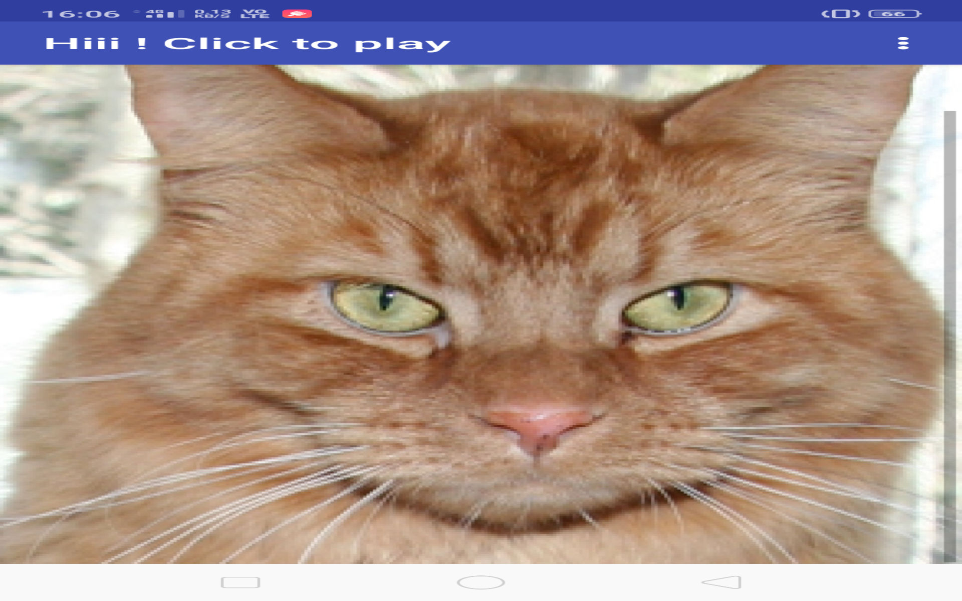 Hello pets - App on Amazon Appstore