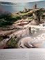 The Art of Star Wars: Galaxy’s Edge: Ratcliffe, Amy, Trowbridge, Scott ...