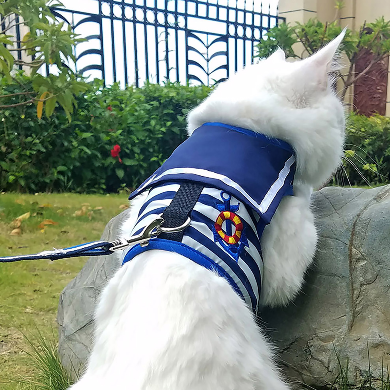Watch Designed for Escape Artist-Yizhi Miaow Cat Harness and Leash on ...