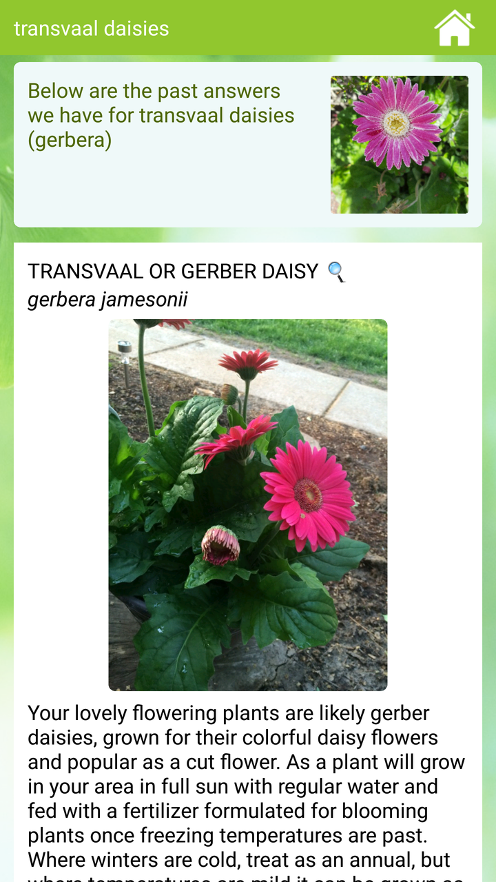 GardenAnswers Plant Identifier - App on Amazon Appstore