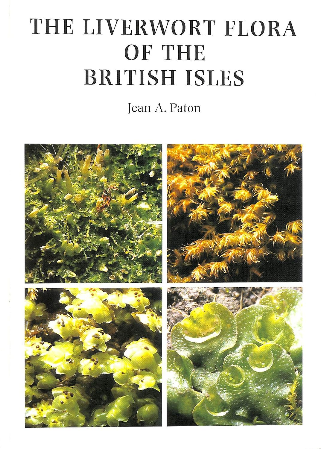 Amazon.com: The Liverworts Flora of the British Isles: 9780946589609 ...