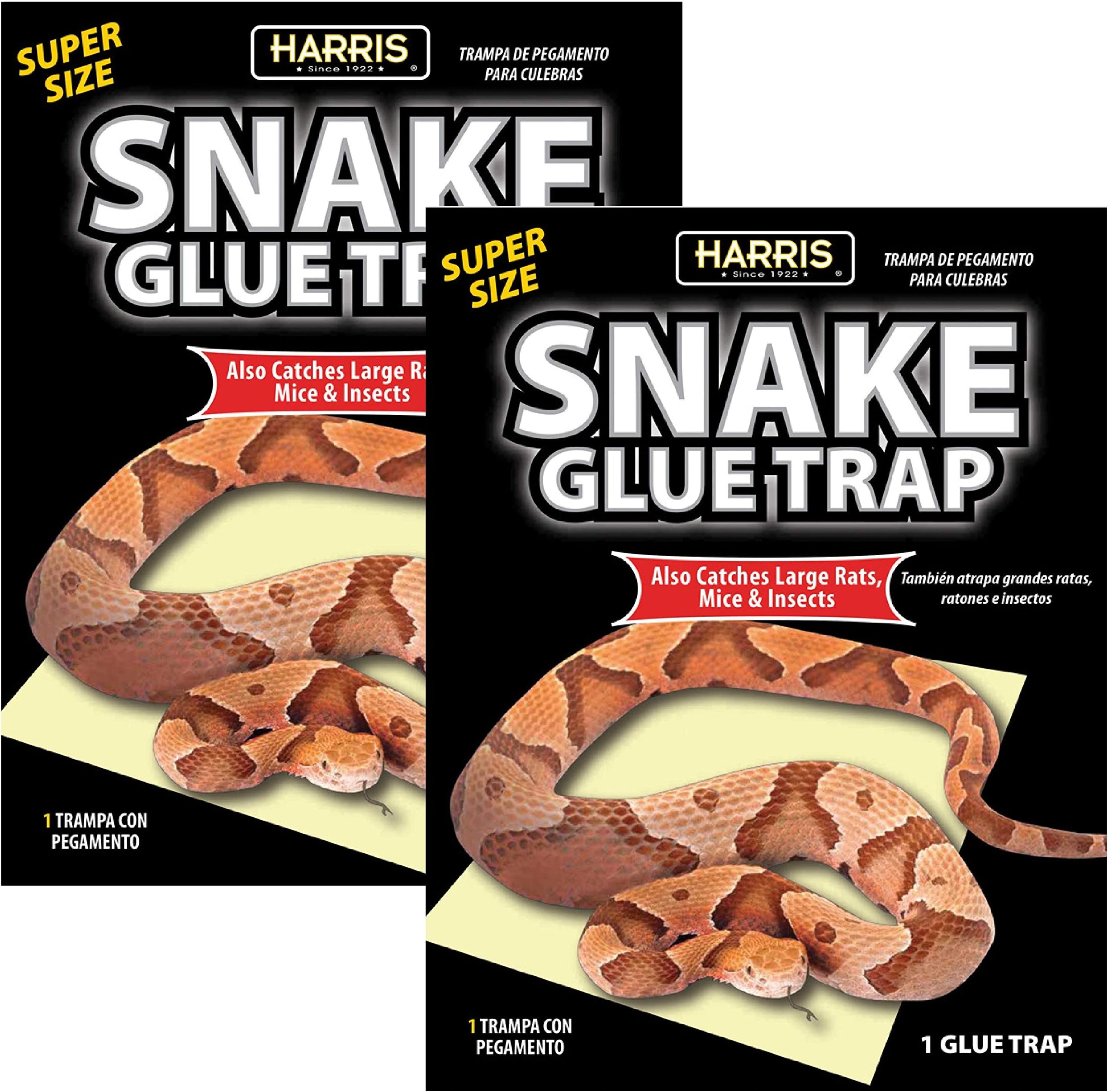 Amazon.com : Cahaba Snake Trap, Glue Board 6 Pack : Patio, Lawn & Garden