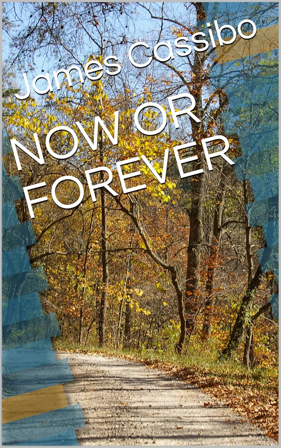Amazon.com: NOW OR FOREVER eBook : Cassibo, James: Kindle Store