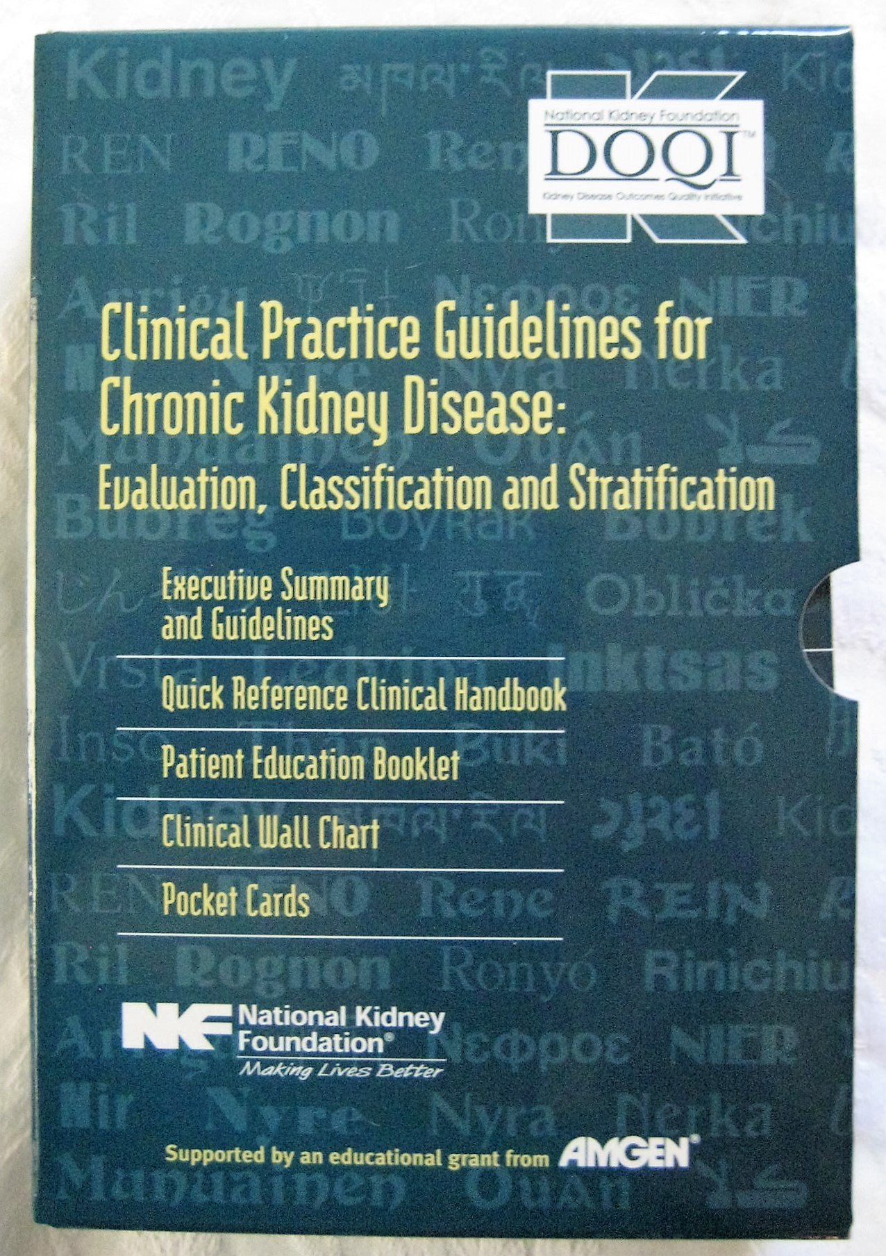 Buy Clinical Practice Guidelines for Chronic Kidney Disease: Evaluation ...