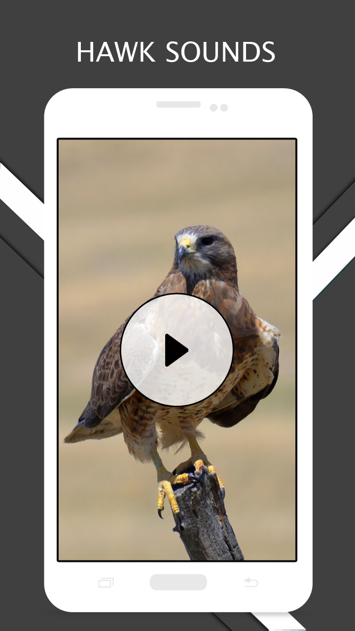 Hawk Sounds And Ringtones - App on Amazon Appstore