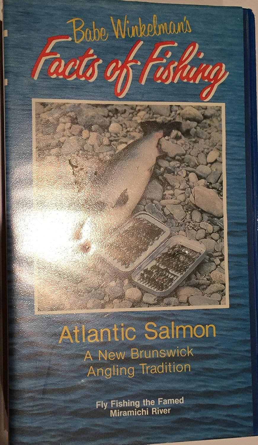 Amazon.com: Atlantic Salmon [VHS] : Winkelman,Babe: Movies & TV