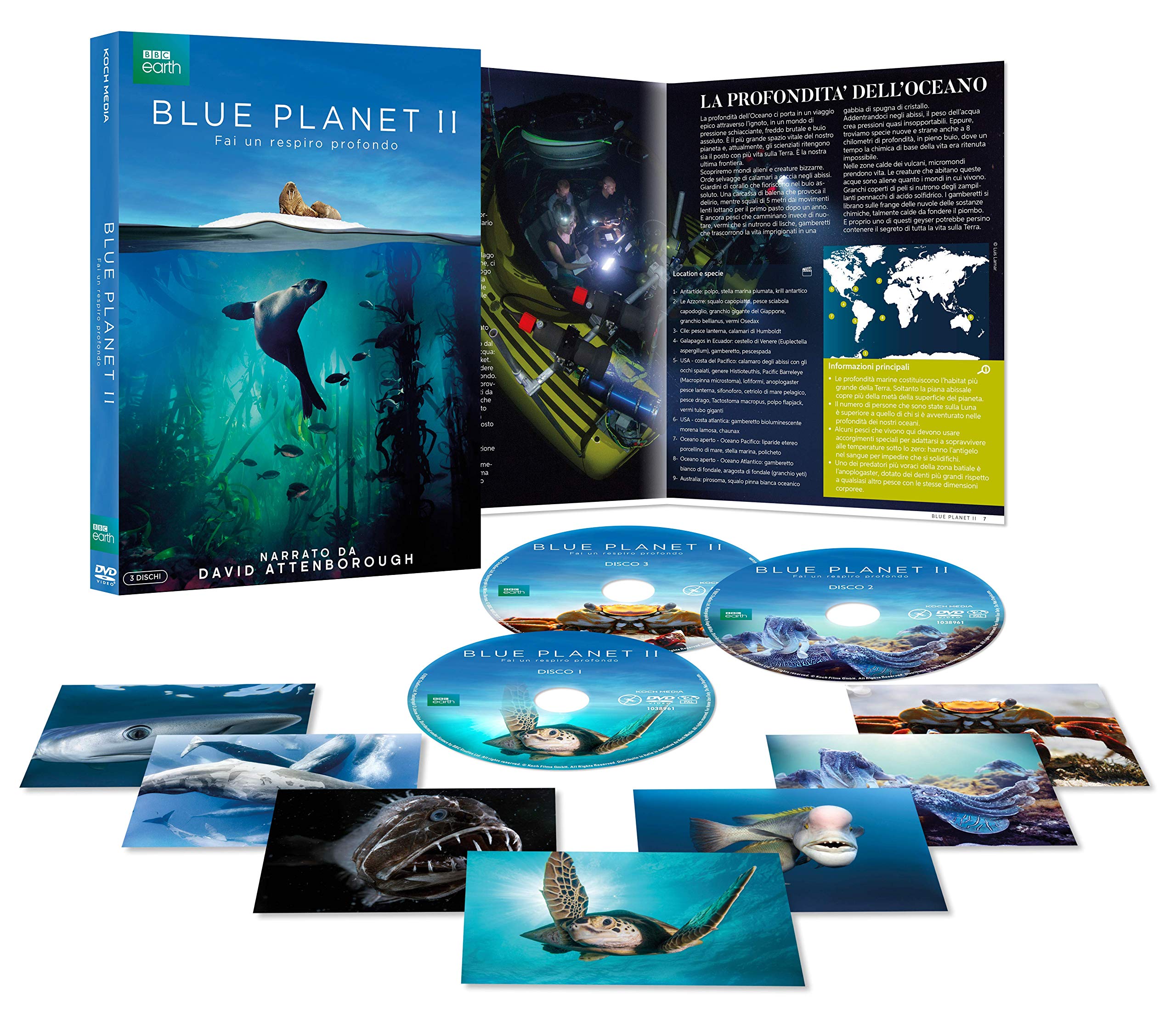 Blue Planet II: Amazon.co.uk: DVD & Blu-ray