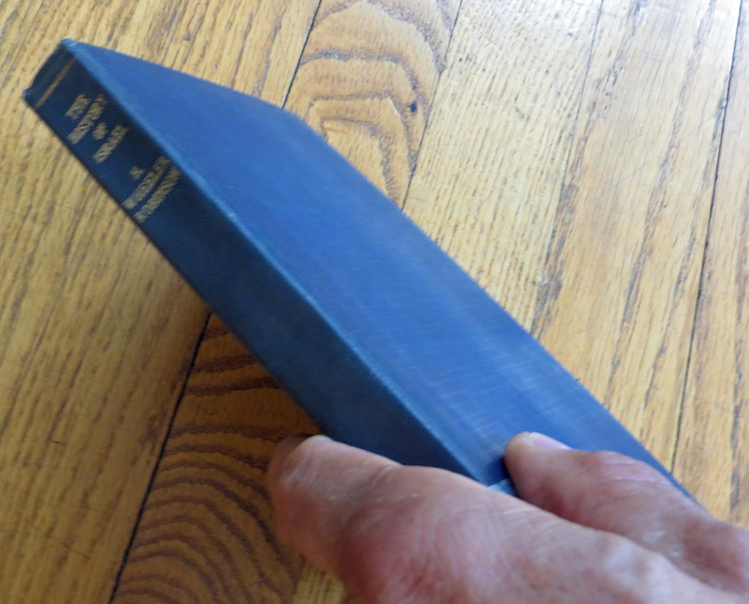 History of Israel: Robinson, H. Wheeler: Amazon.com: Books