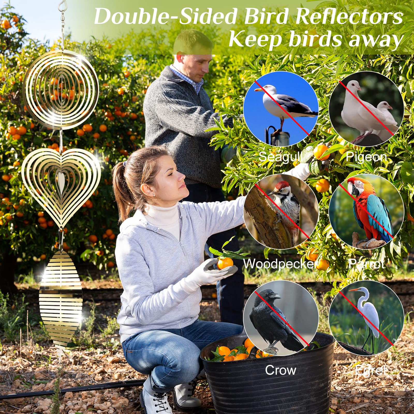 Bird Deterrents 12-Pack Bird Scare Reflectors - 3D Reflective ...