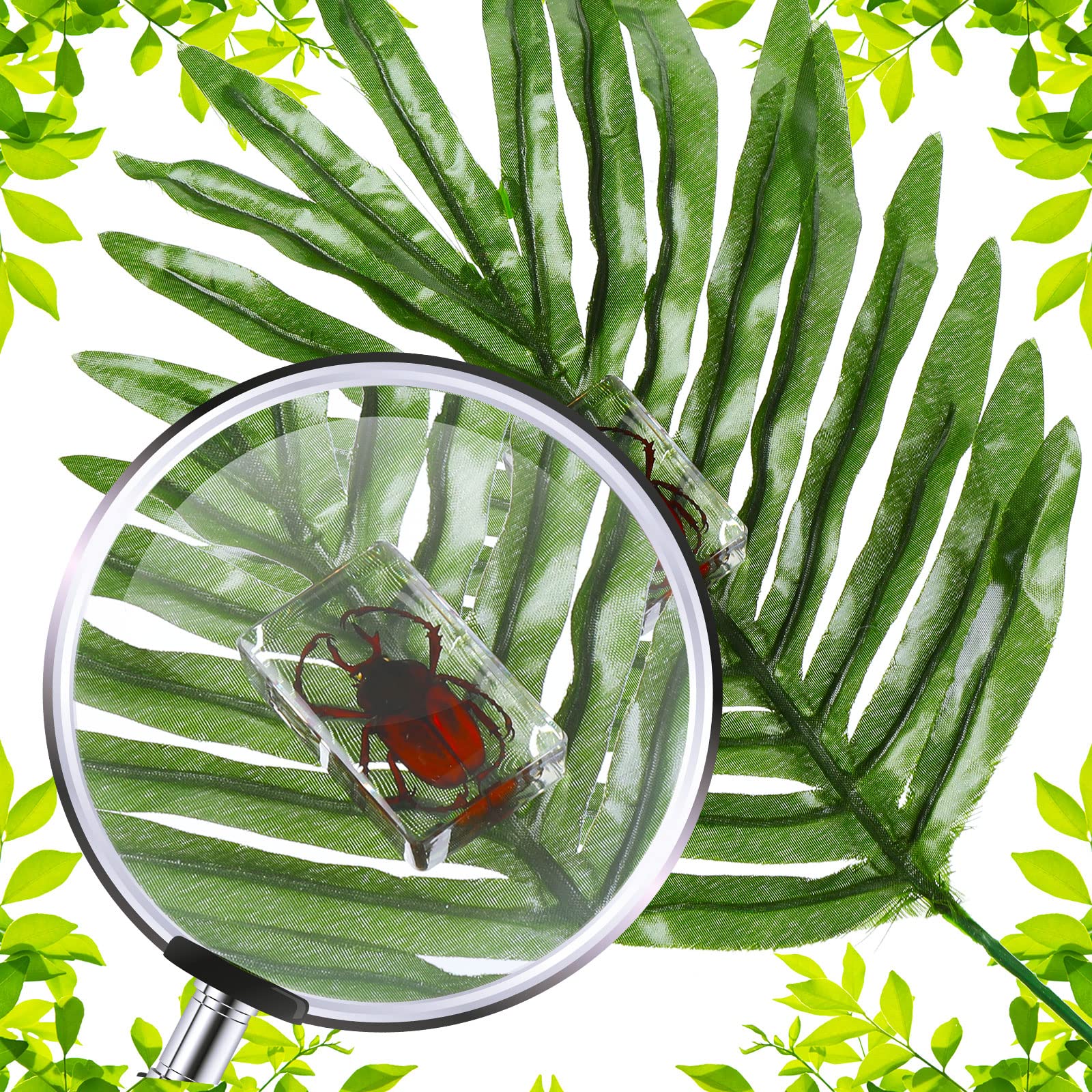 Snapklik.com : Macarrie 12 Pcs Insect Specimens, Bugs Collection Real ...