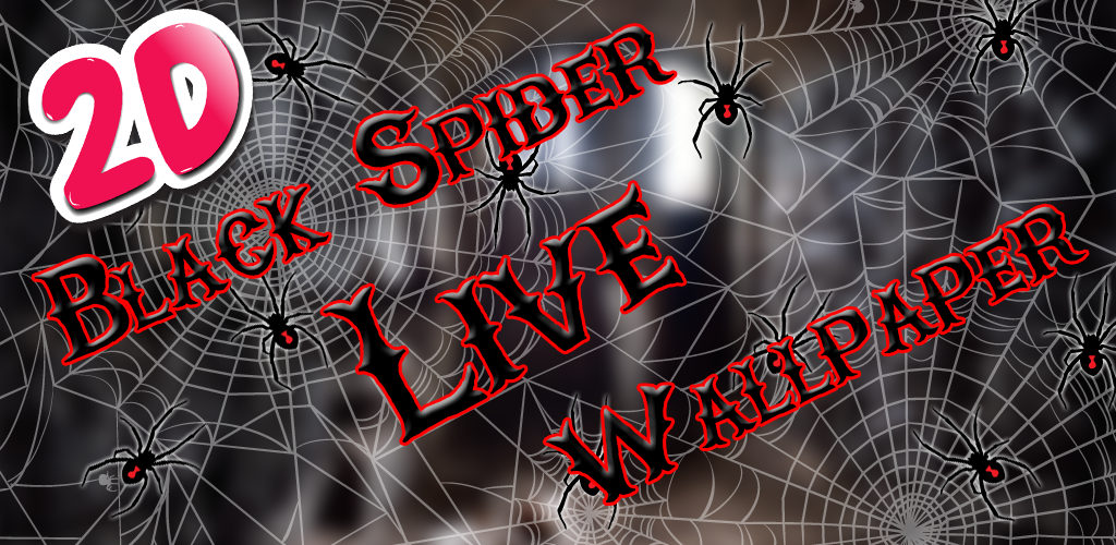 Spider Web Wallpaper Graphics